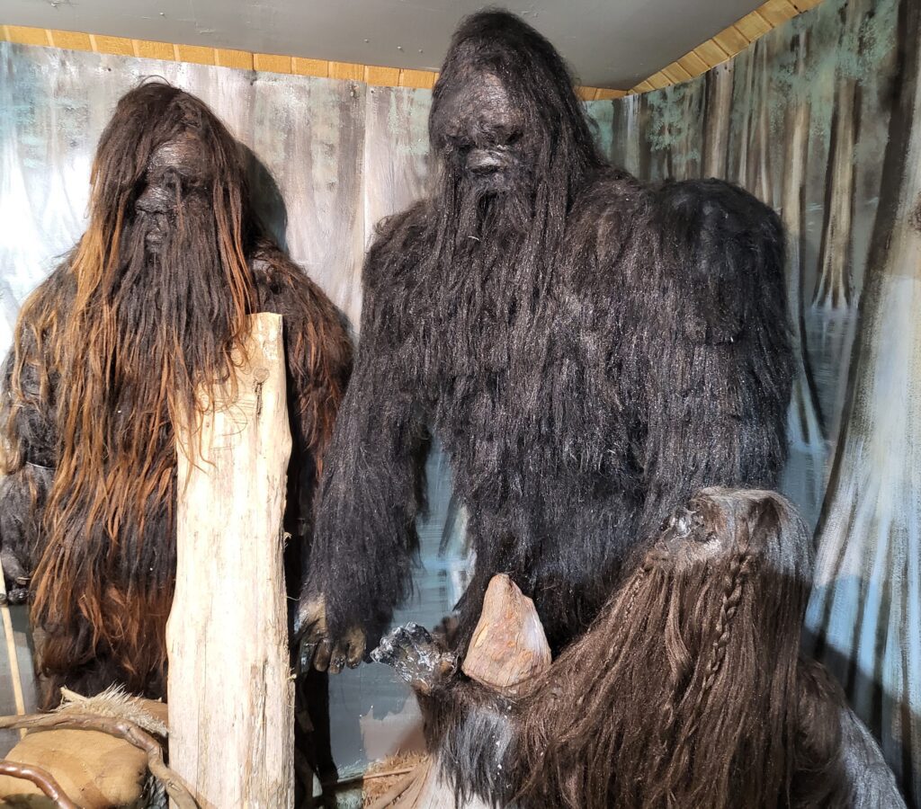 THE MONSTER MUSEUM - Shelley Jones Clark